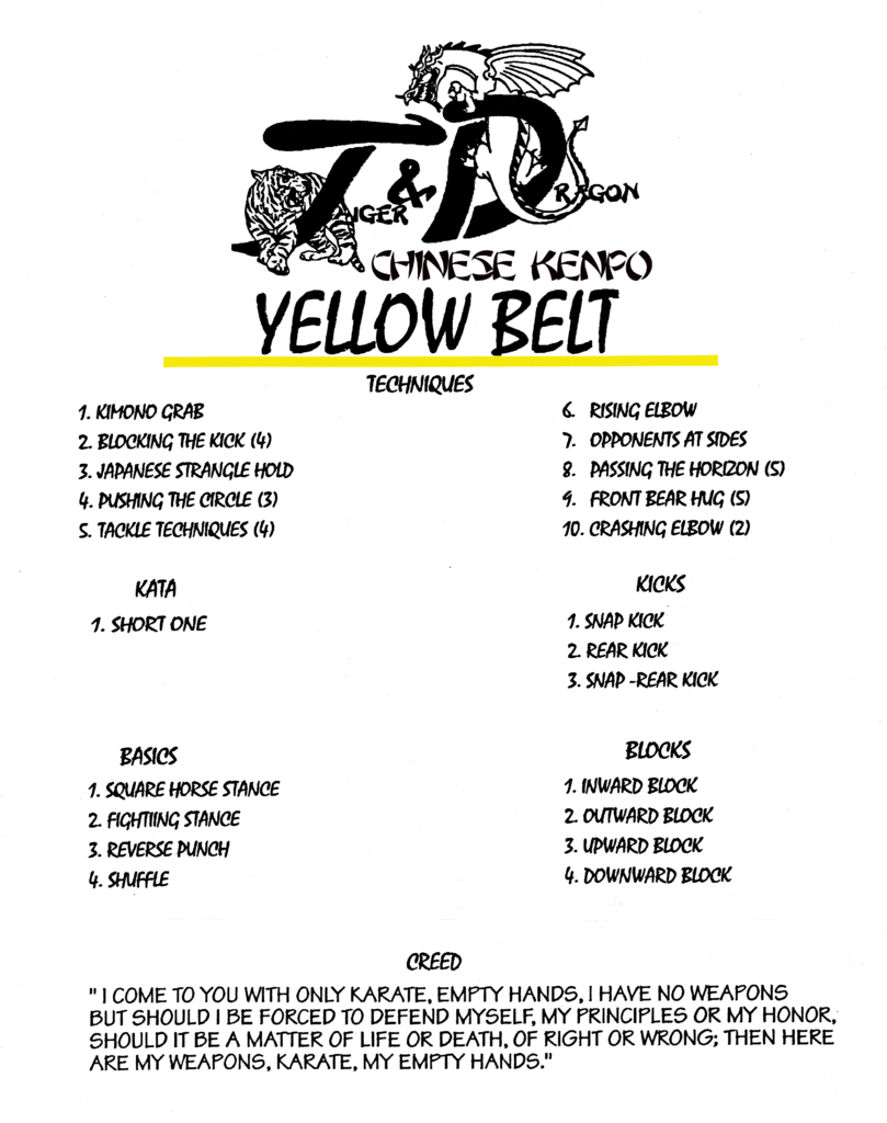 Yellow Belt Chinese Kenpo Karate